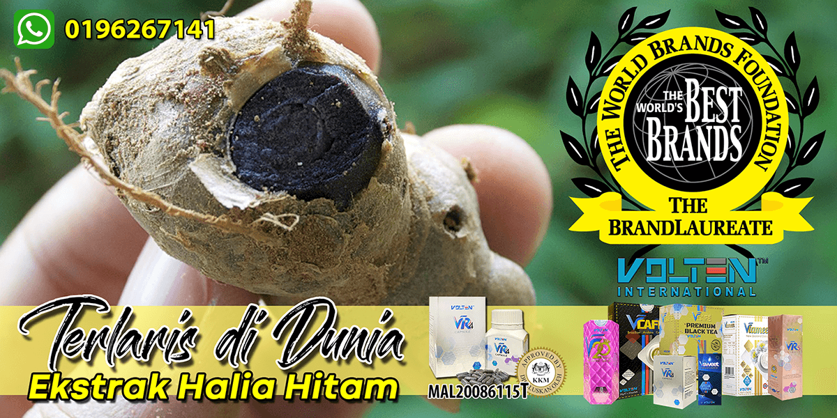 Halia Hitam Terlaris di Dunia...